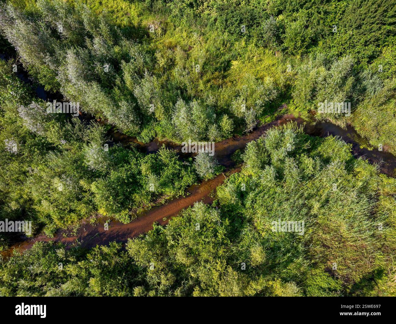 30.07.2024, Germany, North Rhine-Westphalia, Bottrop - The ...