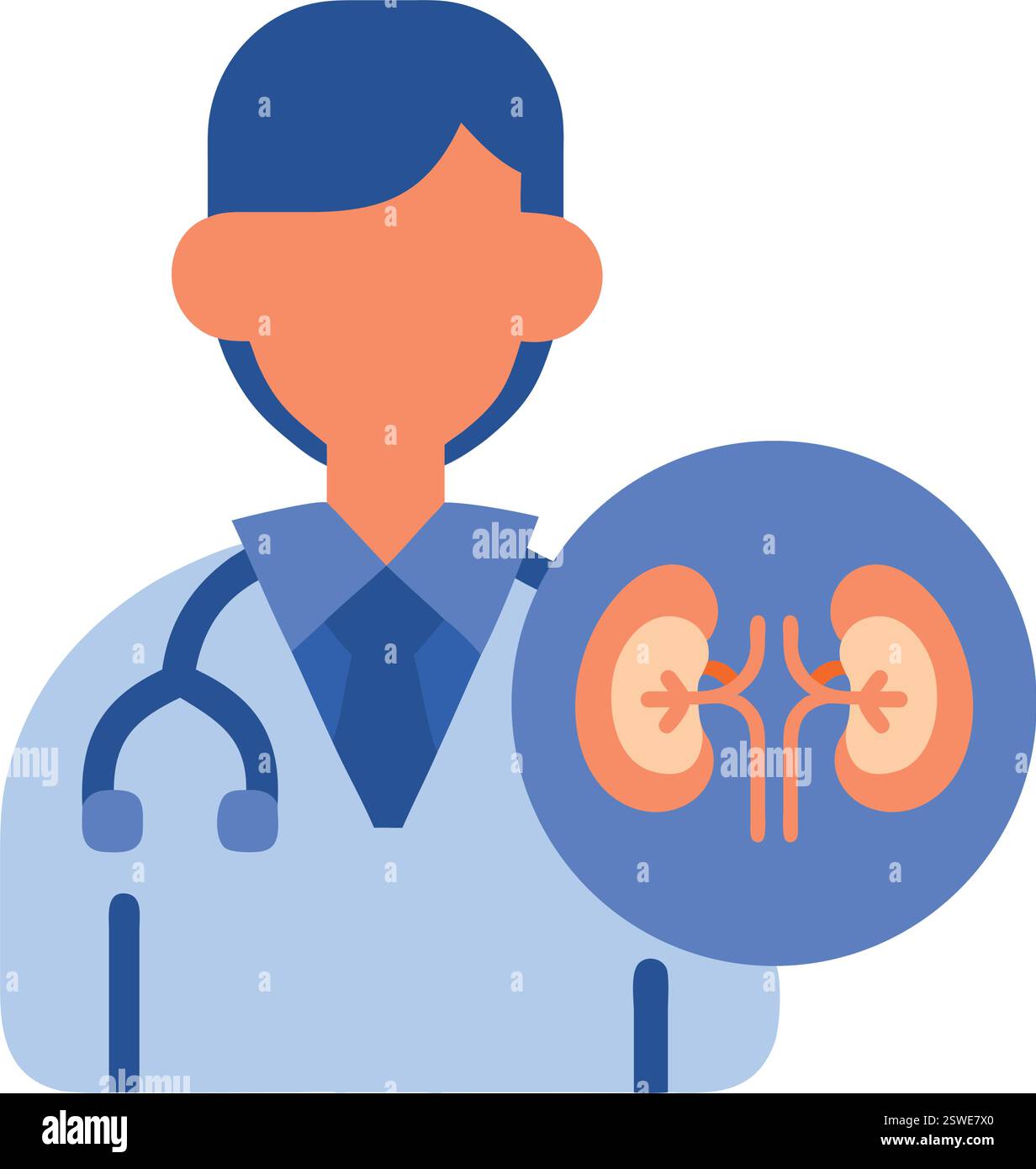 Doctor examining kidney disease icon Stock Vector Image & Art - Alamy