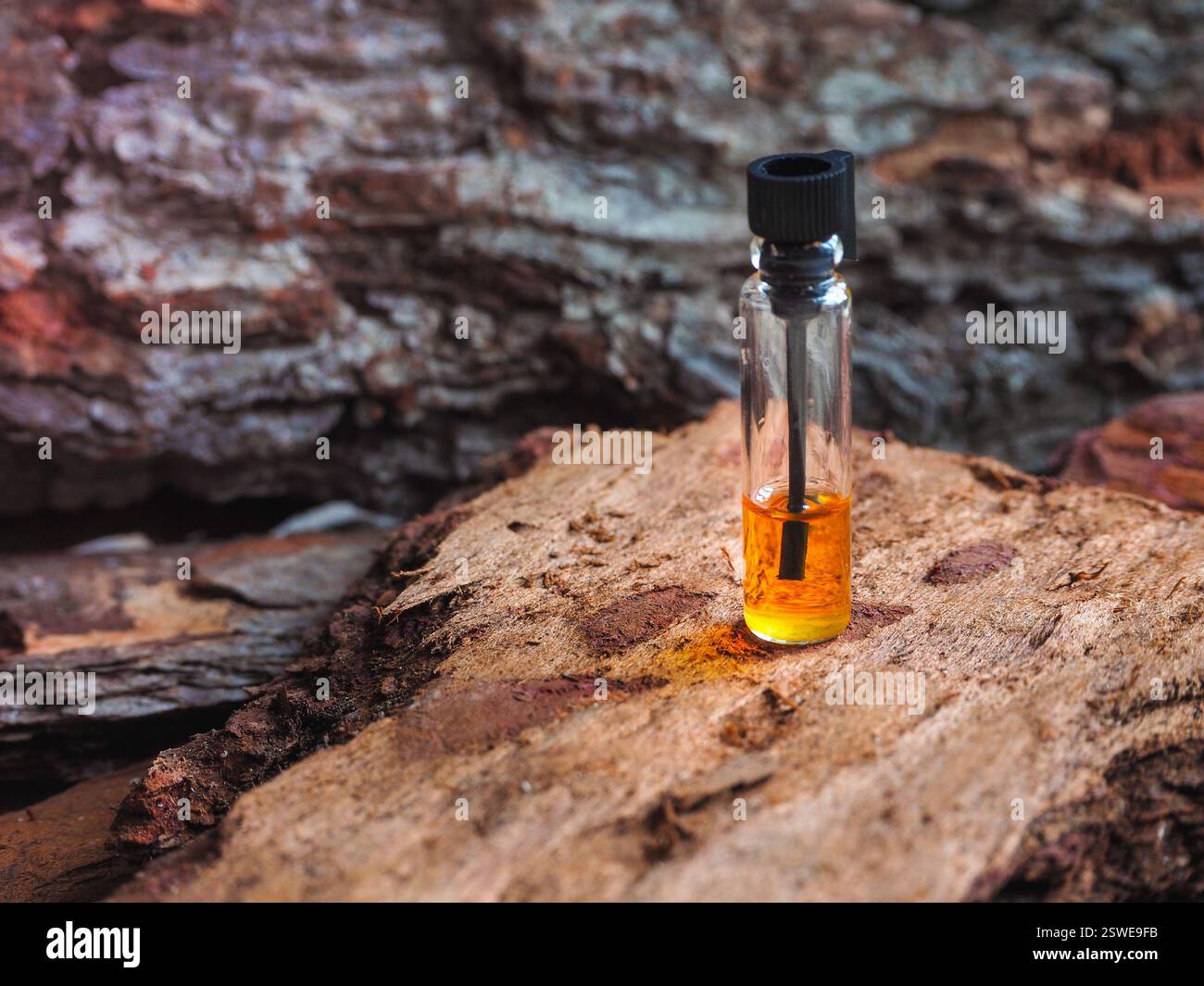 Expensive oil agarwood tree. Arabian oud attar perfume or agarwood oil ...