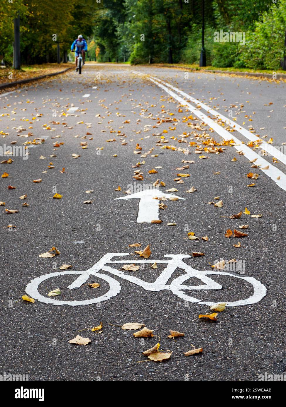 Bike path in autumn. Marking on the asphalt Stock Photo - Alamy