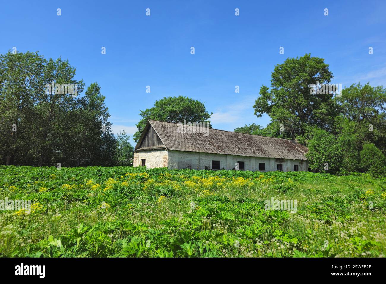 Rustic and weathered barn with farmland Stock Photo - Alamy