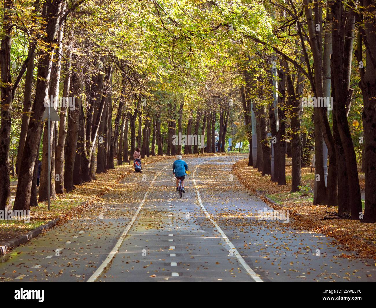 Bike ride along the magnificent autumn alley in Sokolniki Park. Moscow ...