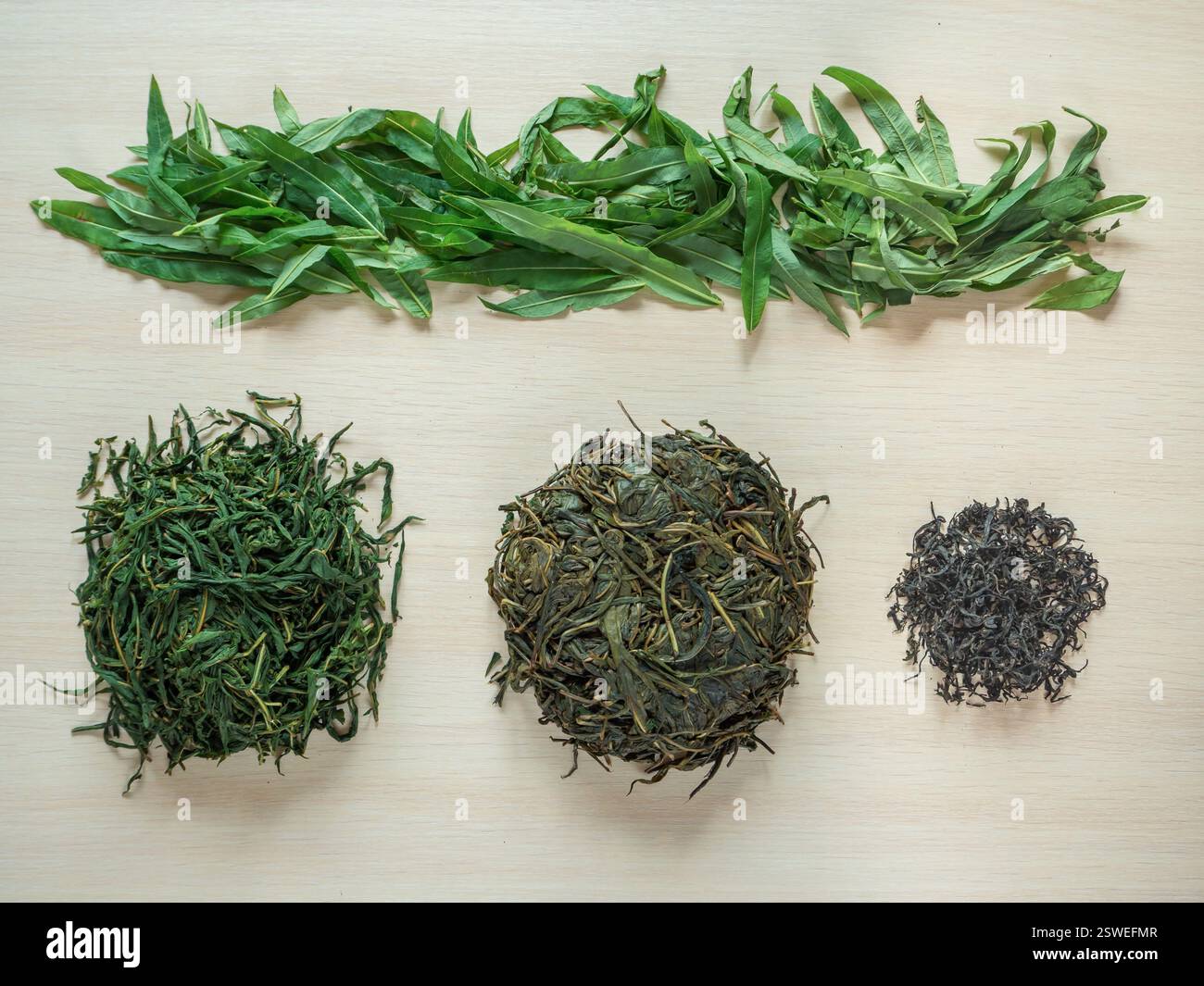 Stages of production of fermented tea leaves. Fermented Ivan-tea Stock ...