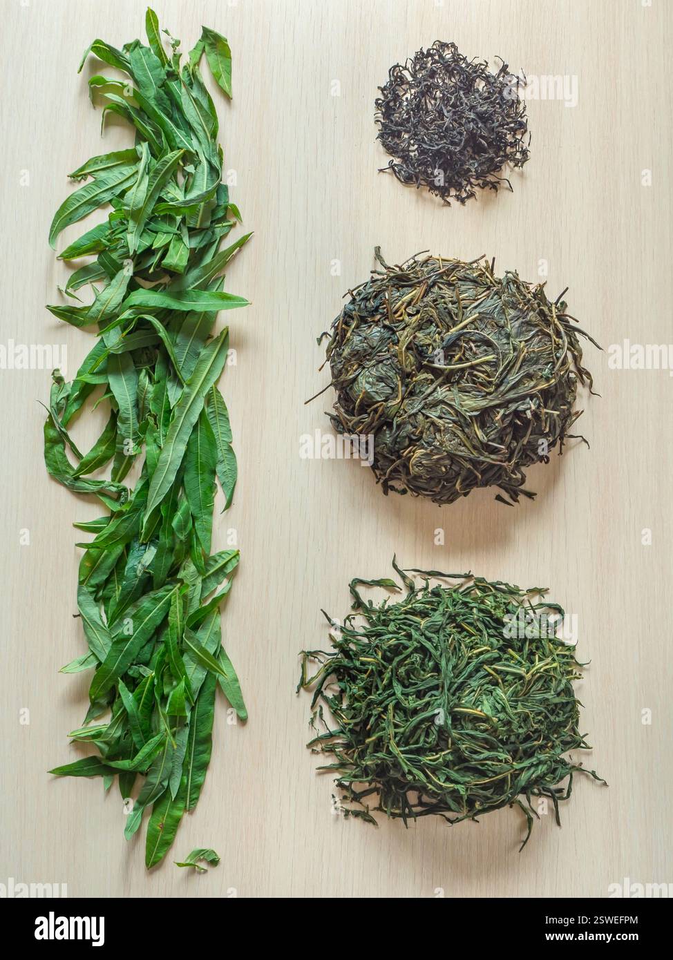Stages of production of fermented tea leaves. Fermented Ivan-tea Stock ...