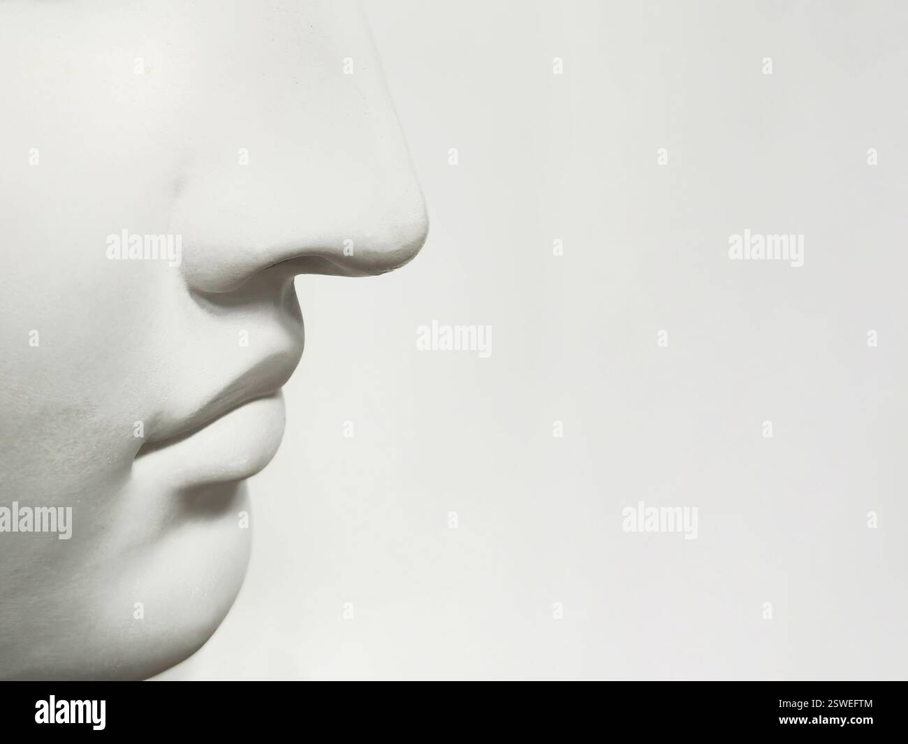 Nose and mouth on a light background, side view. Close-up of a humanoid ...