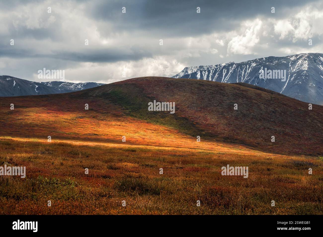 Dramatic golden light and shadow on the rock in autumn steppe. Altai ...