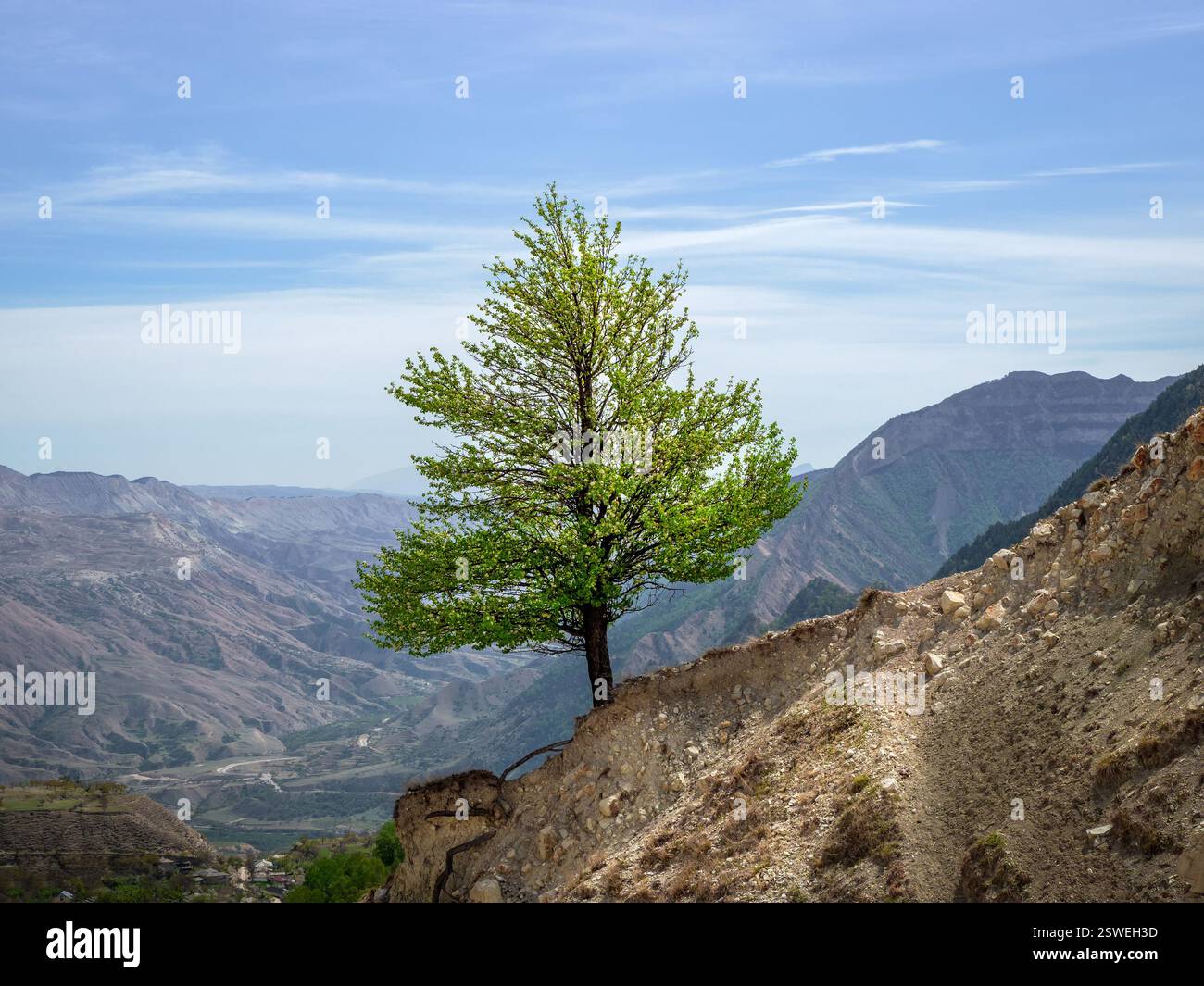 Lush meadow on steep mountain hi-res stock photography and images - Alamy
