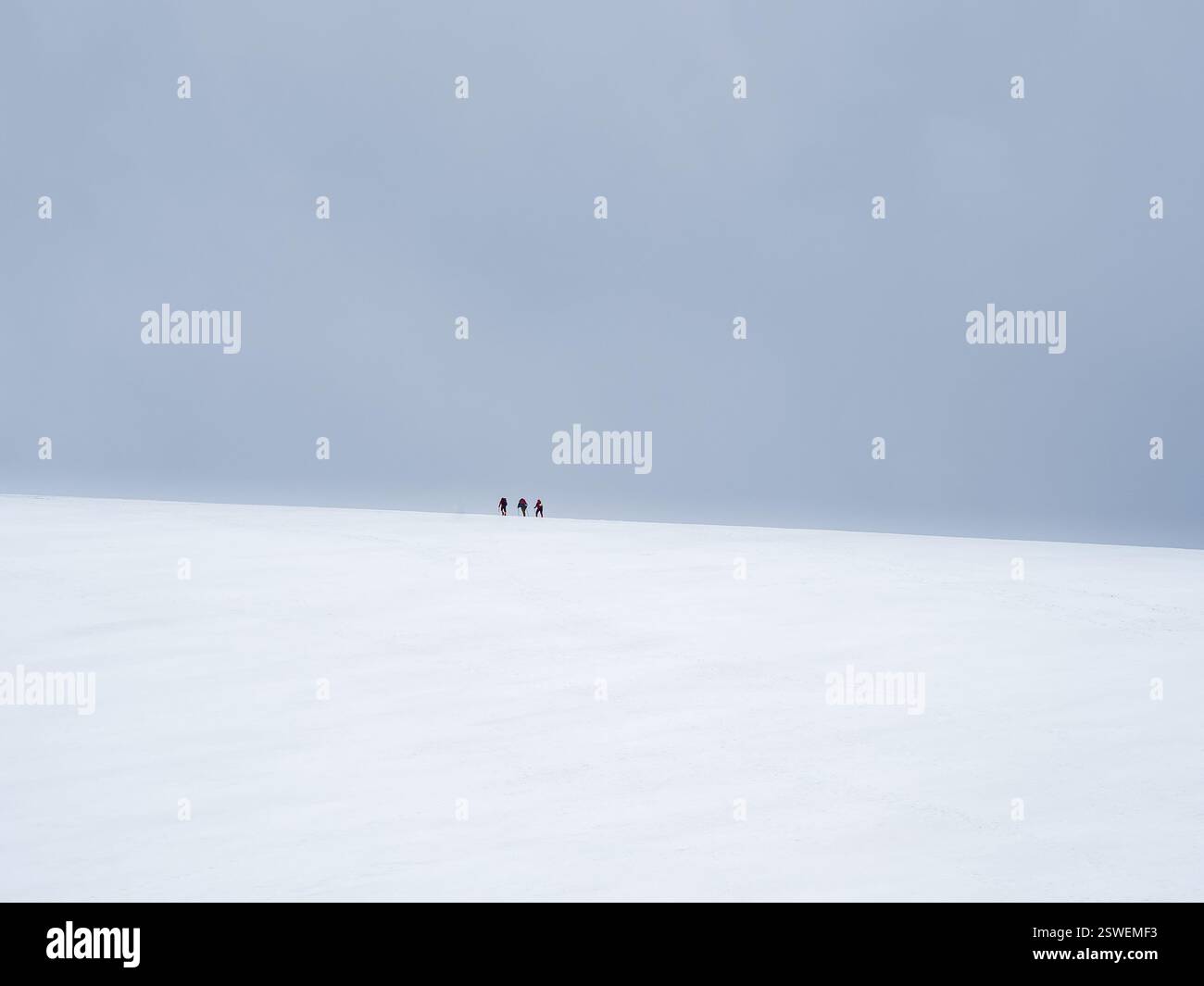 Come to top of misty snowy hill. teamwork and victory, teamwork of ...