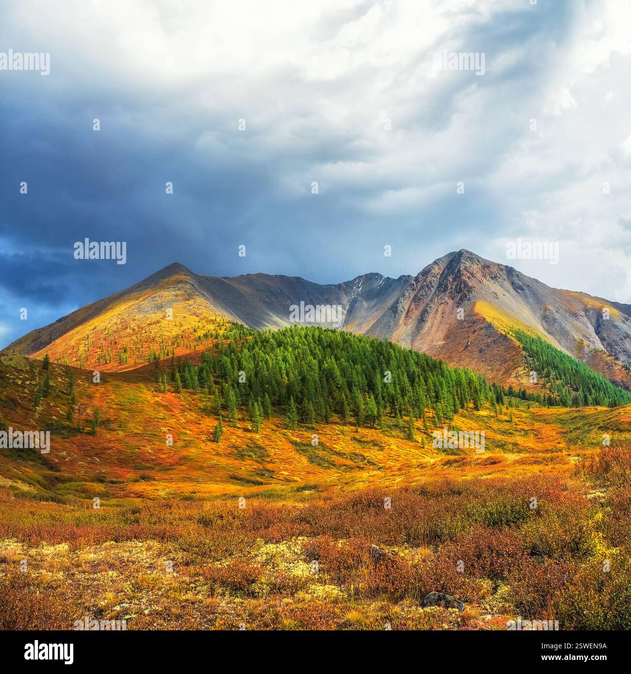 Picturesque autumn mountain plateau with a dramatic view and rays of ...