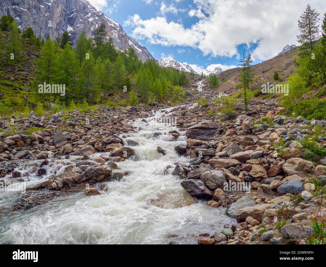 Mountain river flow through forest. Beautiful alpine landscape with ...