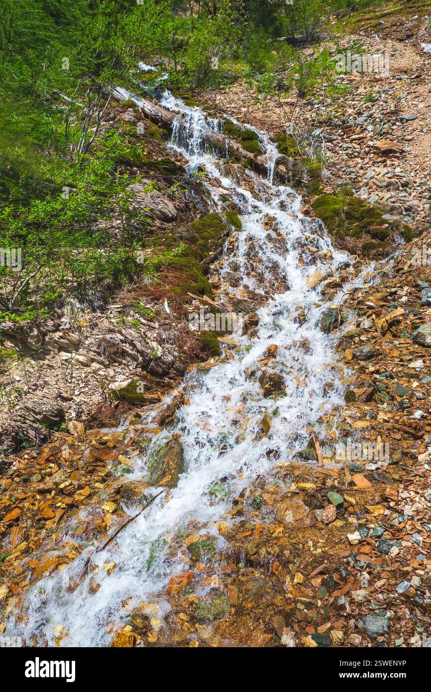 Vertical landscape with beautiful waterfall and stream in forest among ...