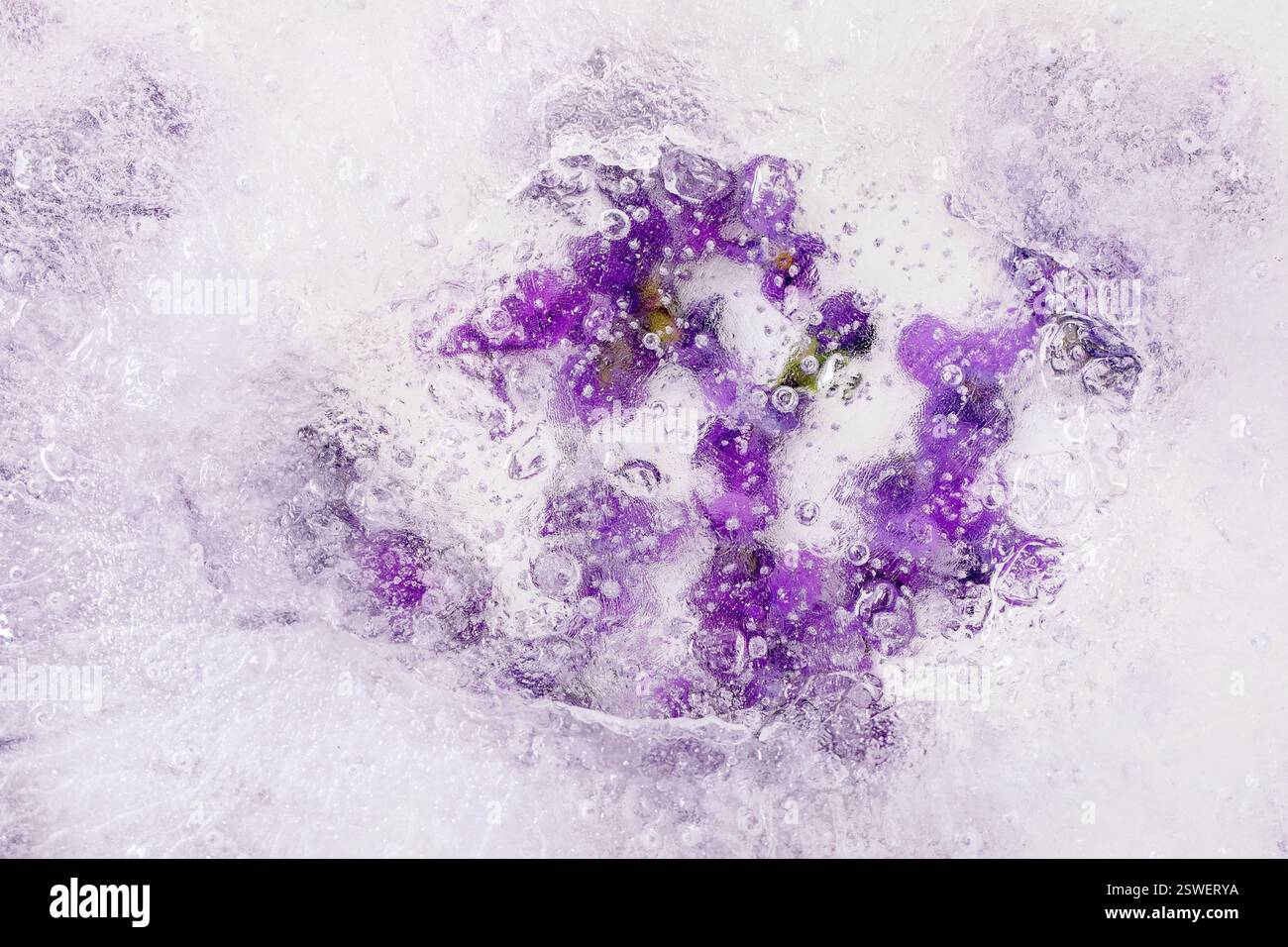 Transparentcold hi-res stock photography and images - Alamy