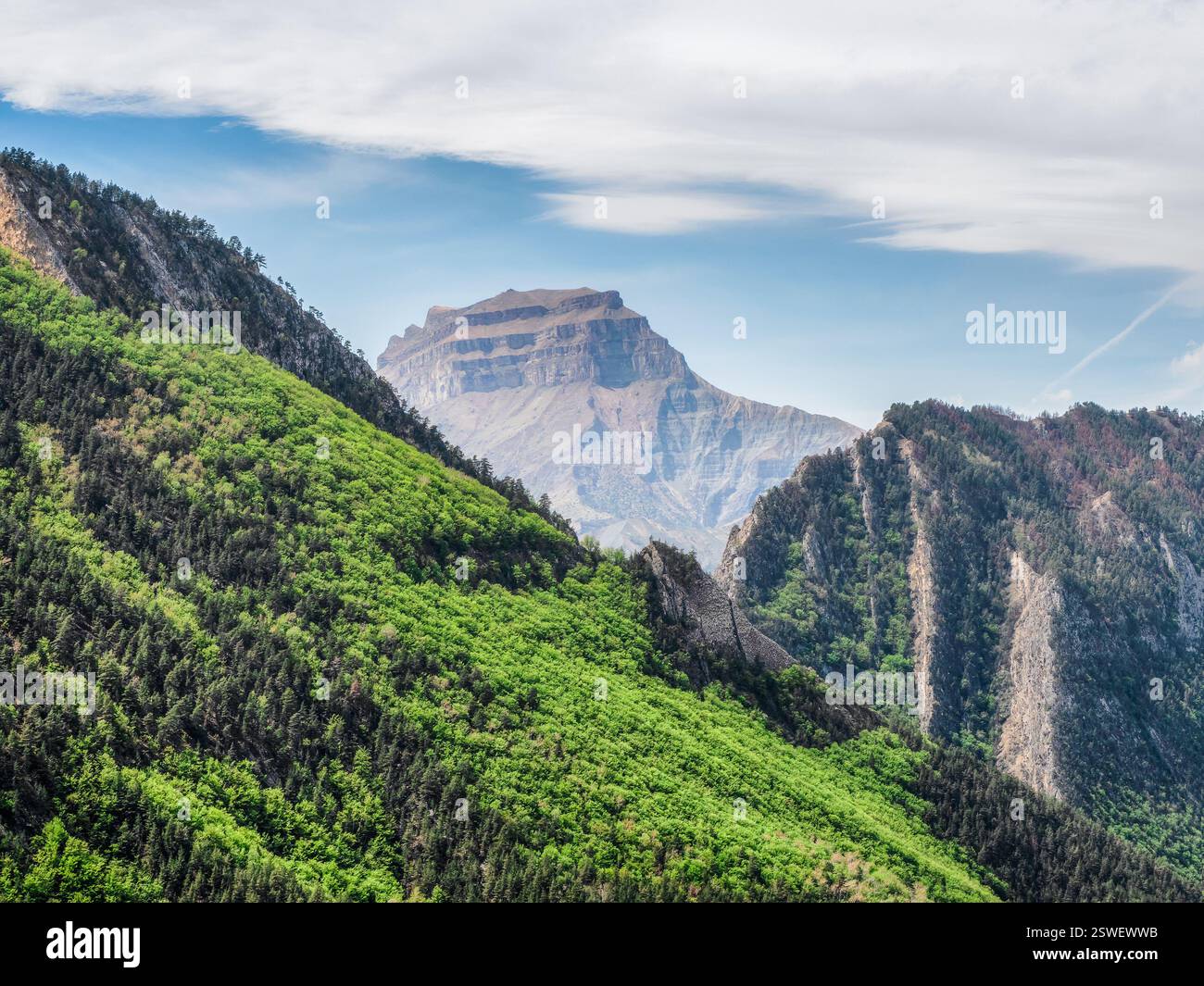 Steep mountain slopes covered with forest. Green planet. Sunny natural ...