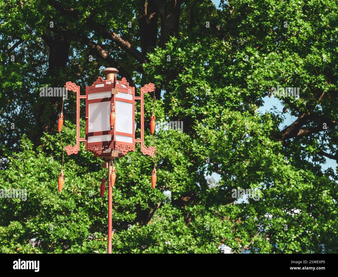 An old Chinese lantern on a green tree background Stock Photo - Alamy