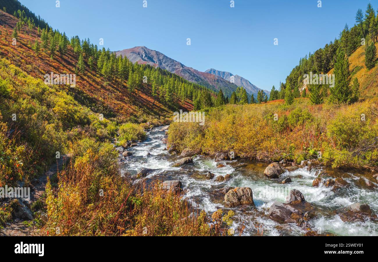 Mountain autumn river flow through forest. Beautiful alpine landscape ...