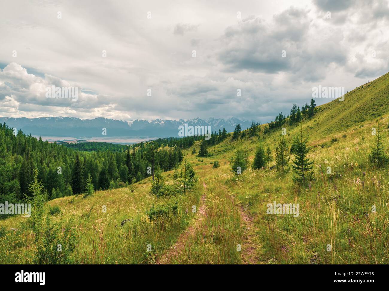 Minimalistic green mountains landscape with old dirt road overgrown ...