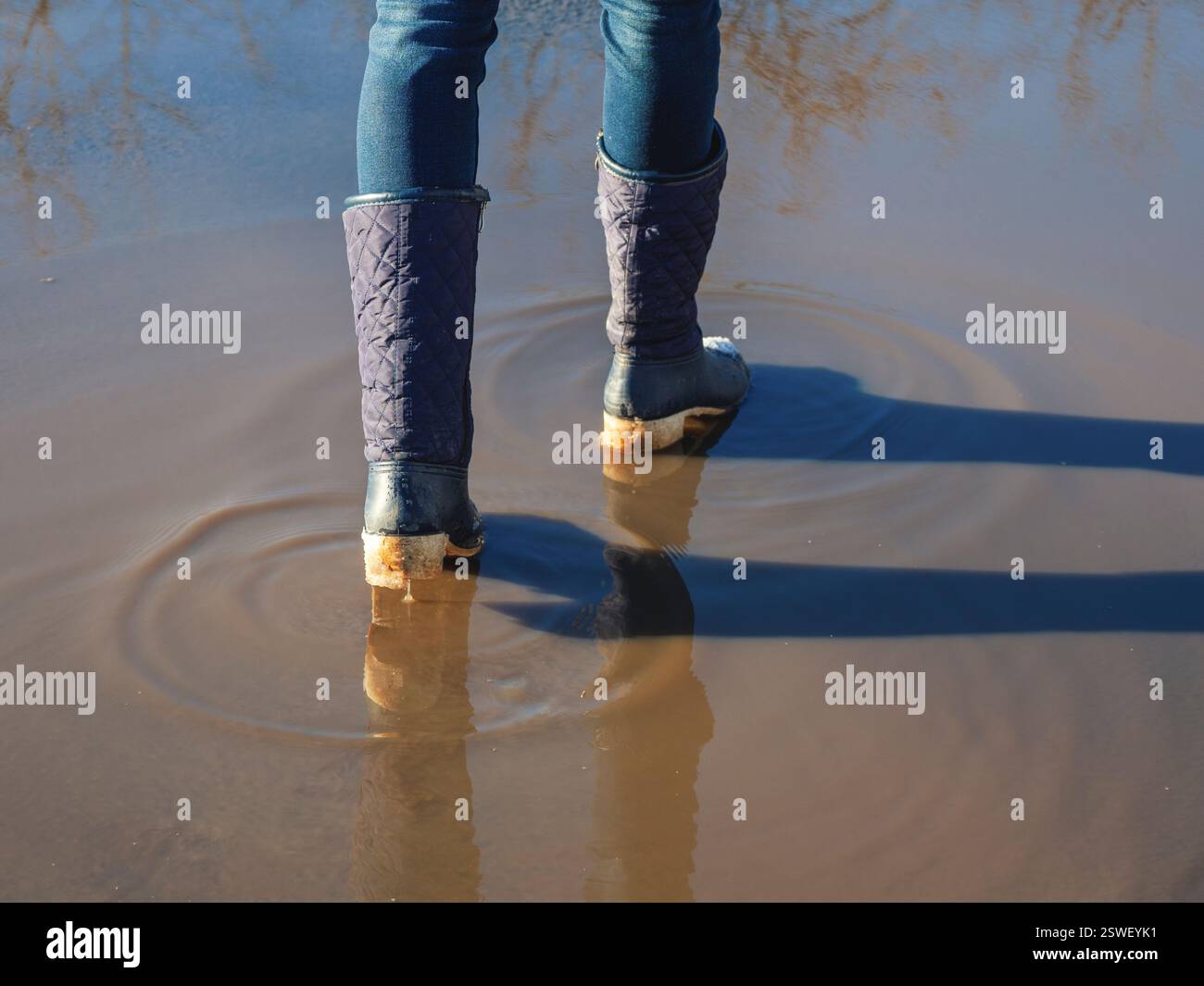 High water, The ice melts in the spring, a woman walks through puddles ...