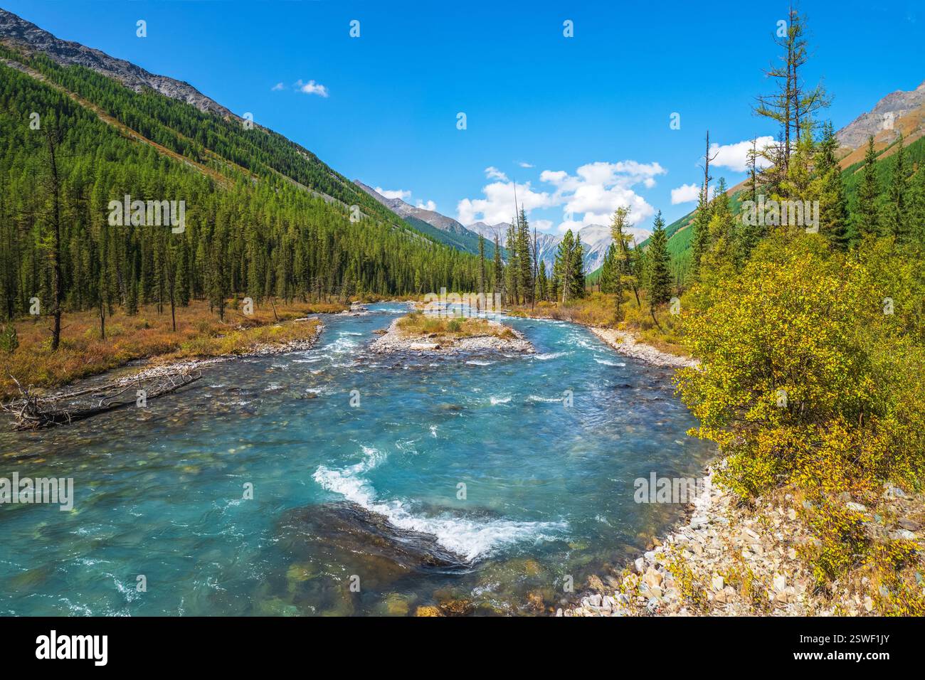 Water rapids. Power mountain river flows down from the glacier ...