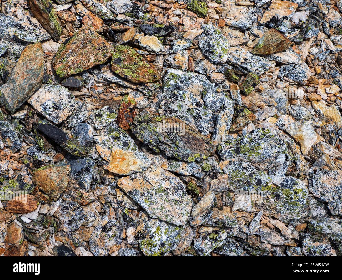 Multicolored detailed texture of a rocky mountain slope. Geological ...