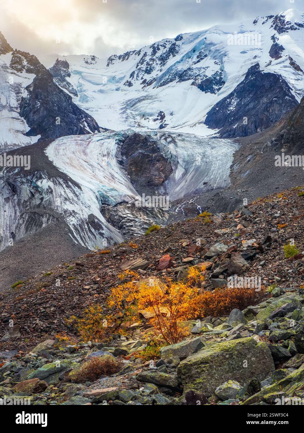 Dramatic natural background of the glacier surface with cracks The ...