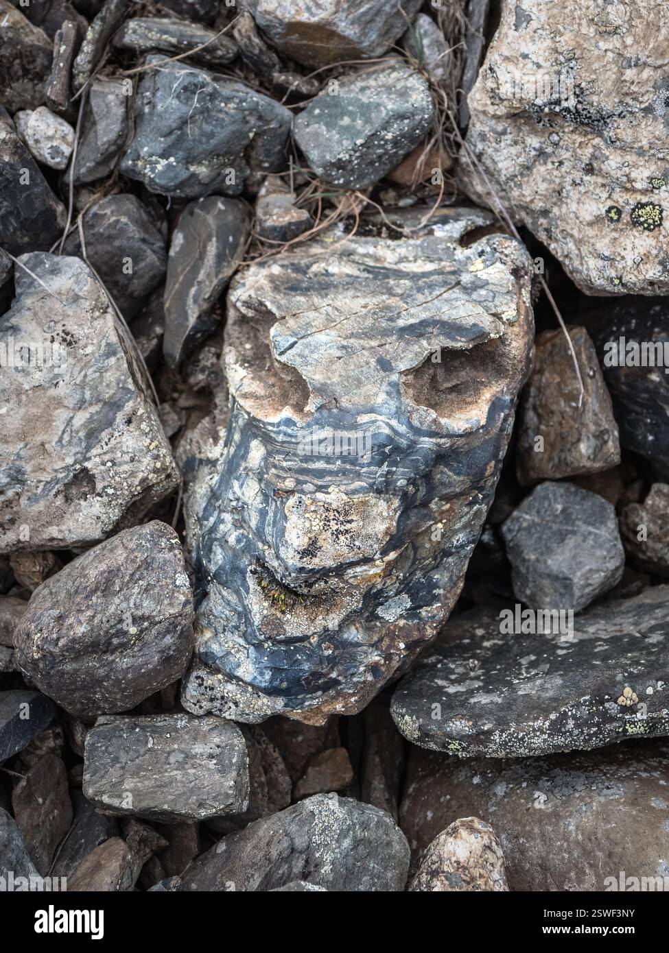 Stone face, a stone shaped like a human face. Mystical spirits of the ...