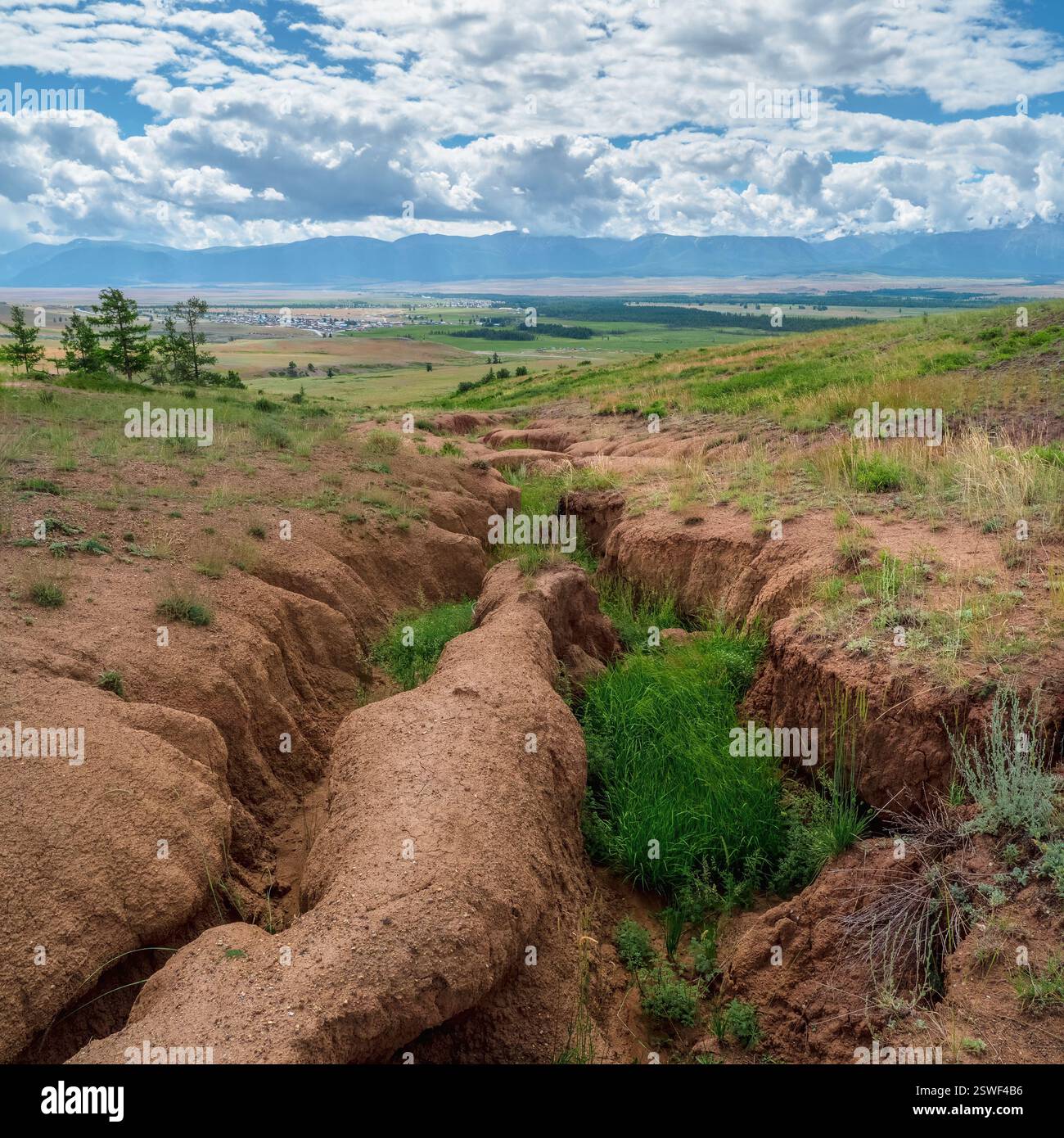 Soil erosion, deep ravine in the distance Stock Photo - Alamy