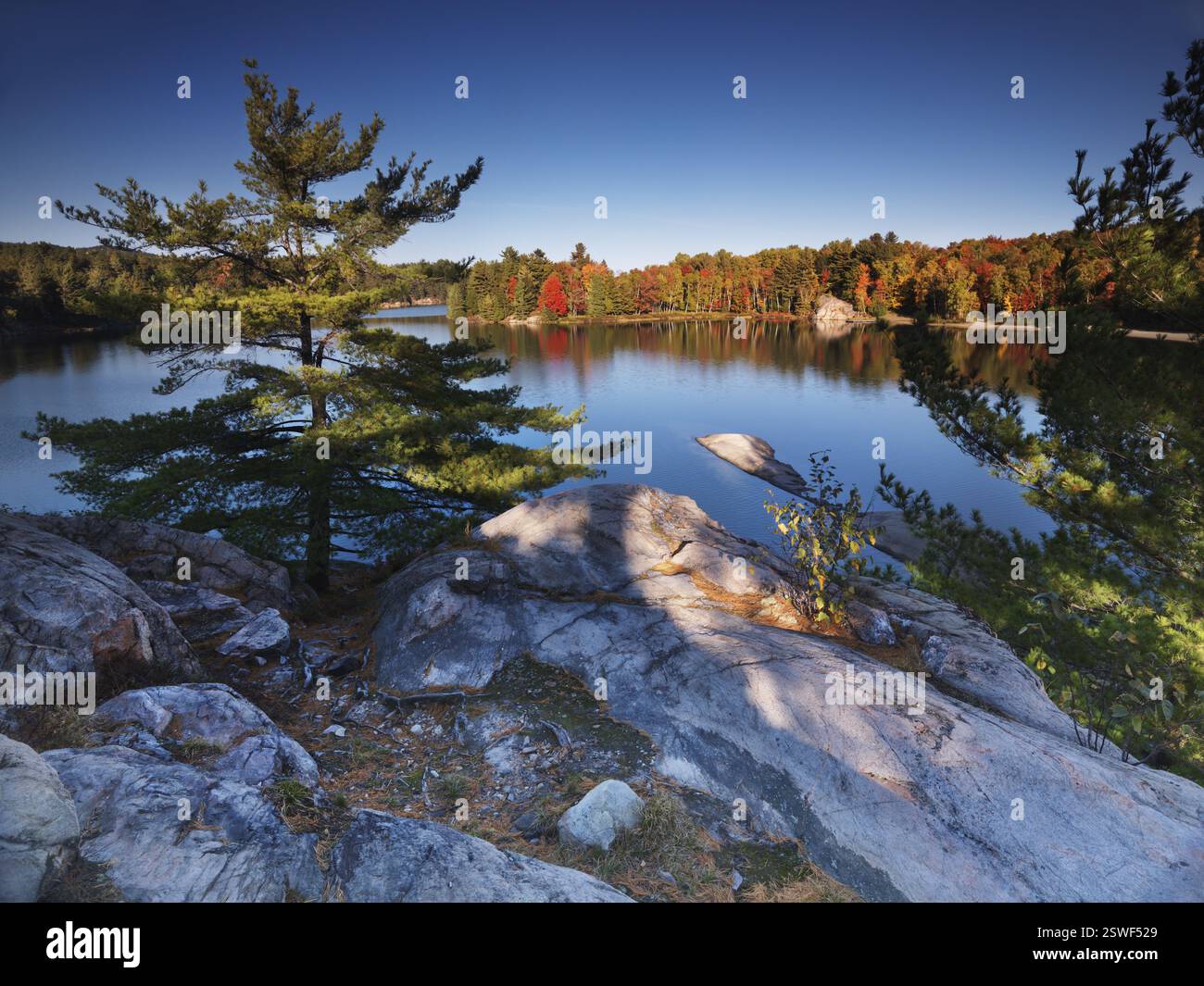Beautiful fall nature scenery of lake George during sunset. Killarney ...