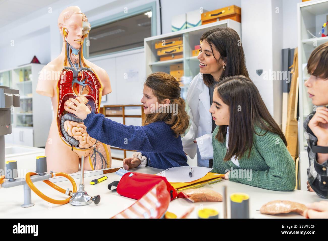 Elementary school students learning human body anatomy with teacher and ...