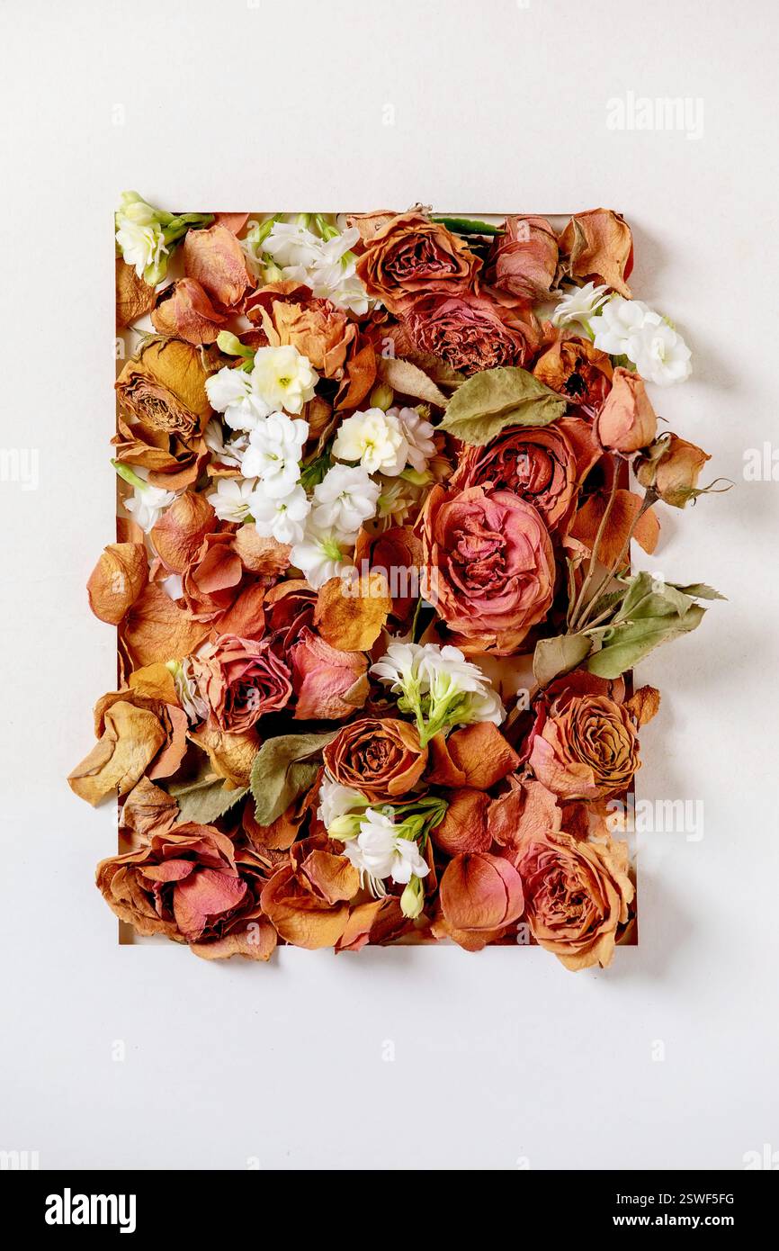Creative layout design hi-res stock photography and images - Alamy