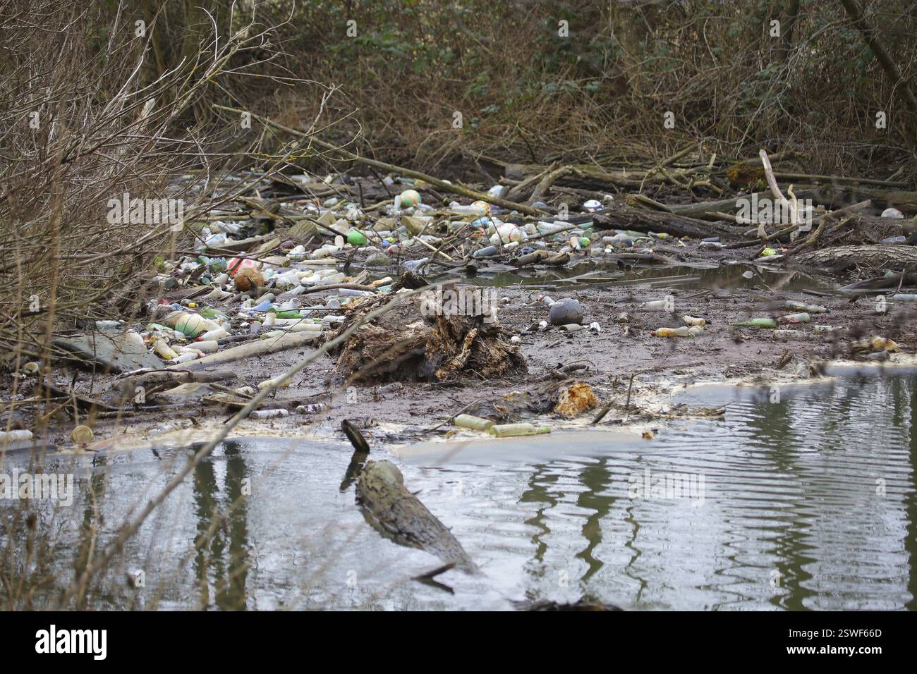 A stream bank polluted by plastic waste in the forest, environmental ...