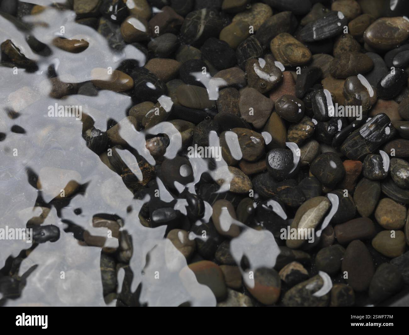 Closeup of water and pebbles background texture Stock Photo - Alamy