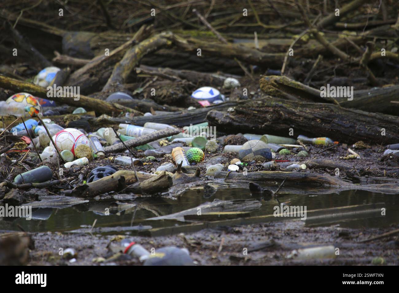 A stream with washed up plastic waste and rotting tree trunks ...