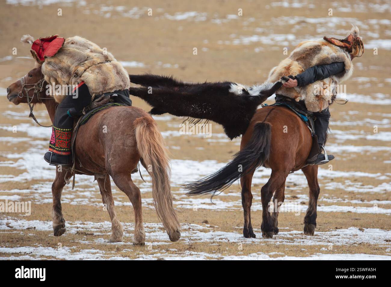 Part eagle part horse hi-res stock photography and images - Alamy
