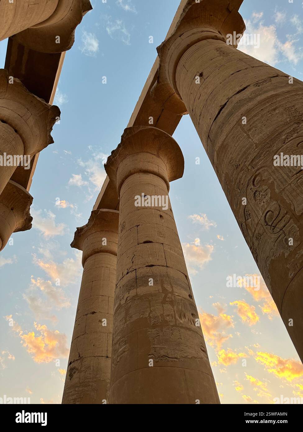 Open-flower papyrus columns at Luxor Temple during sunset, Egypt Stock ...