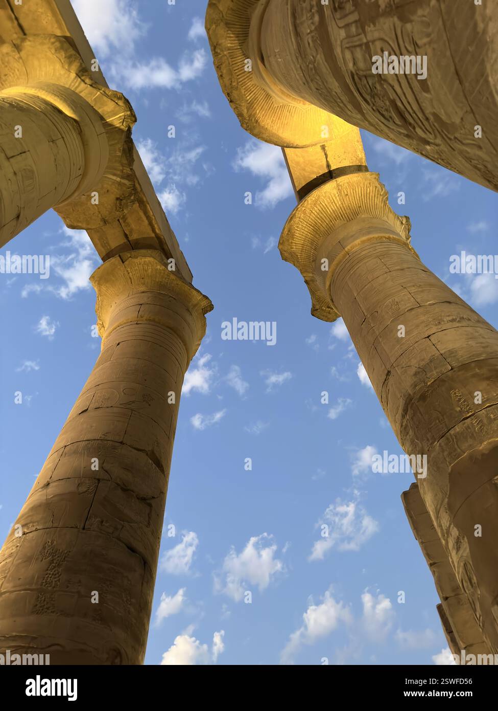 Open-flower papyrus columns at Luxor Temple during sunset, Egypt Stock ...