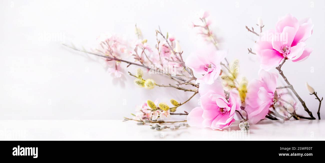 Beautiful pink spring flowers composition over white magnolia flowers ...