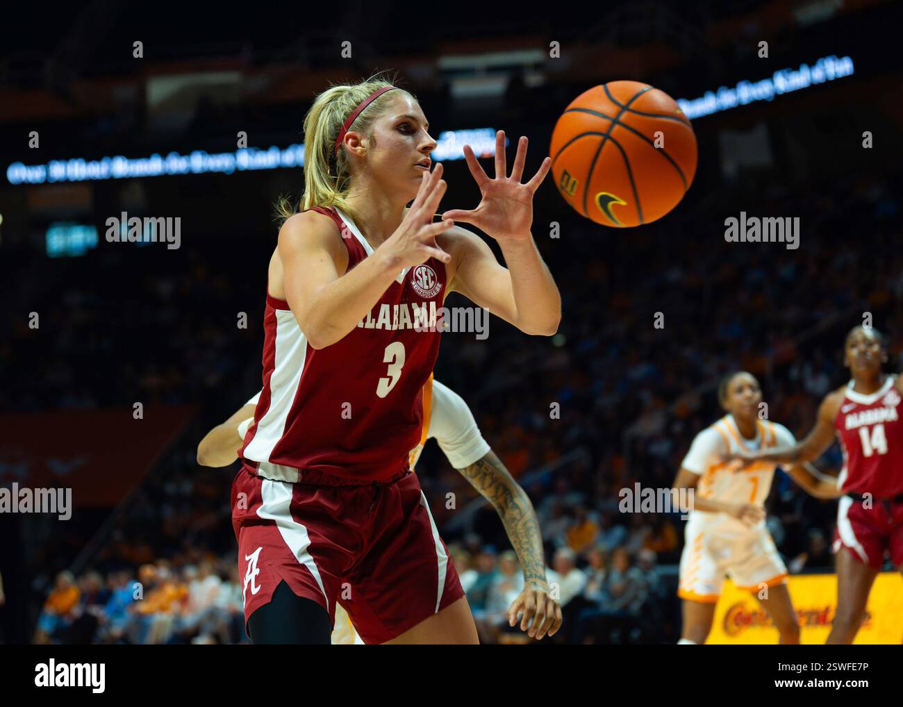 Sarah ashlee barker hi-res stock photography and images - Alamy