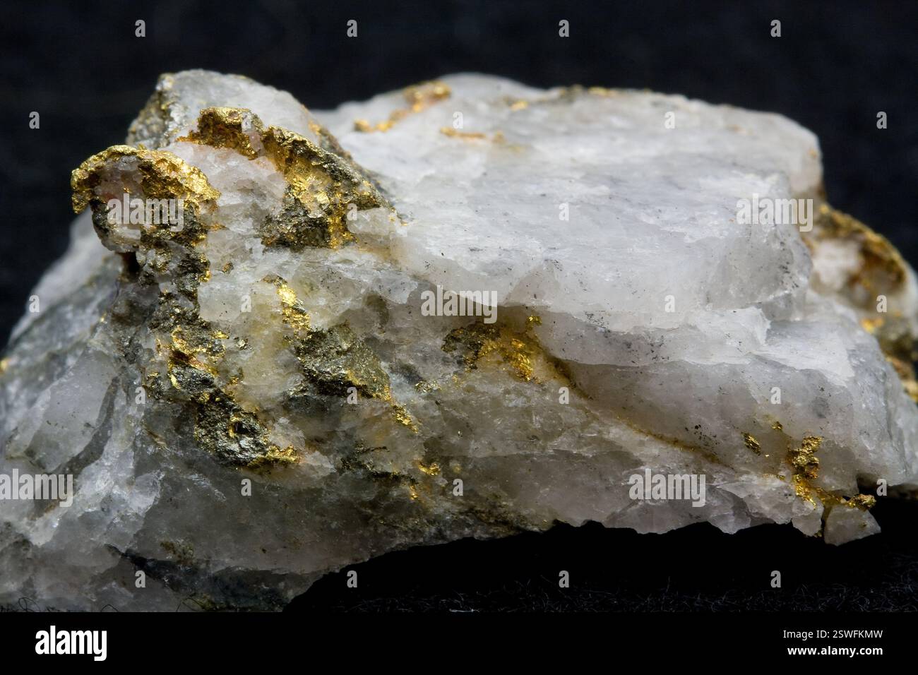 Rare High-grade Gold Ore Specimen from the Homestake Mine at Lead ...