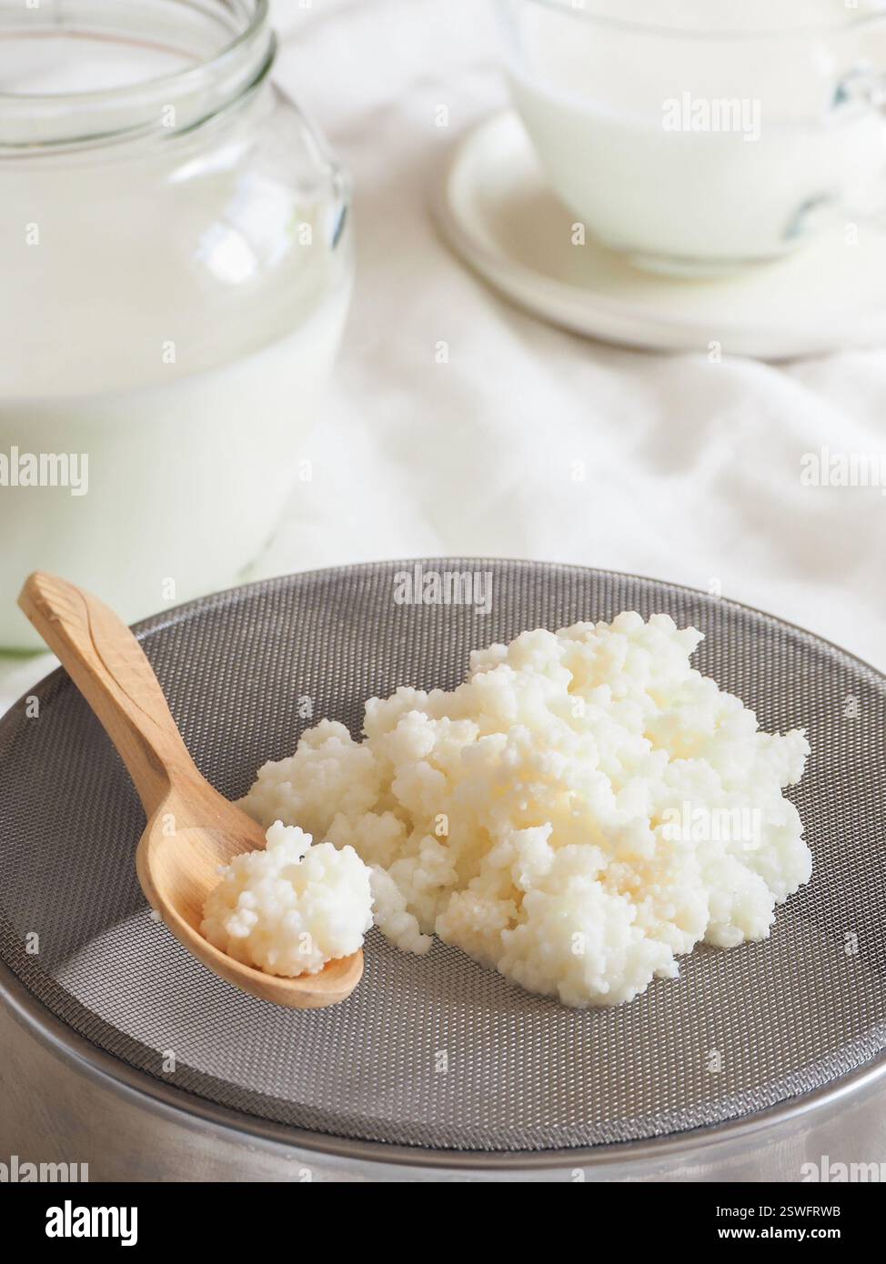 Tibetan milk mushroom. Homemade milk kefir grains on a filter strainer ...