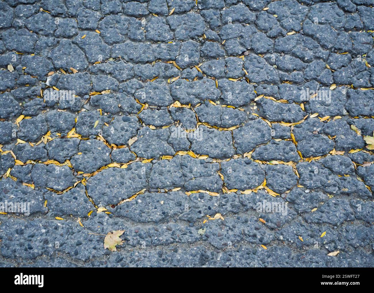 The texture of old asphalt with cracks Stock Photo - Alamy