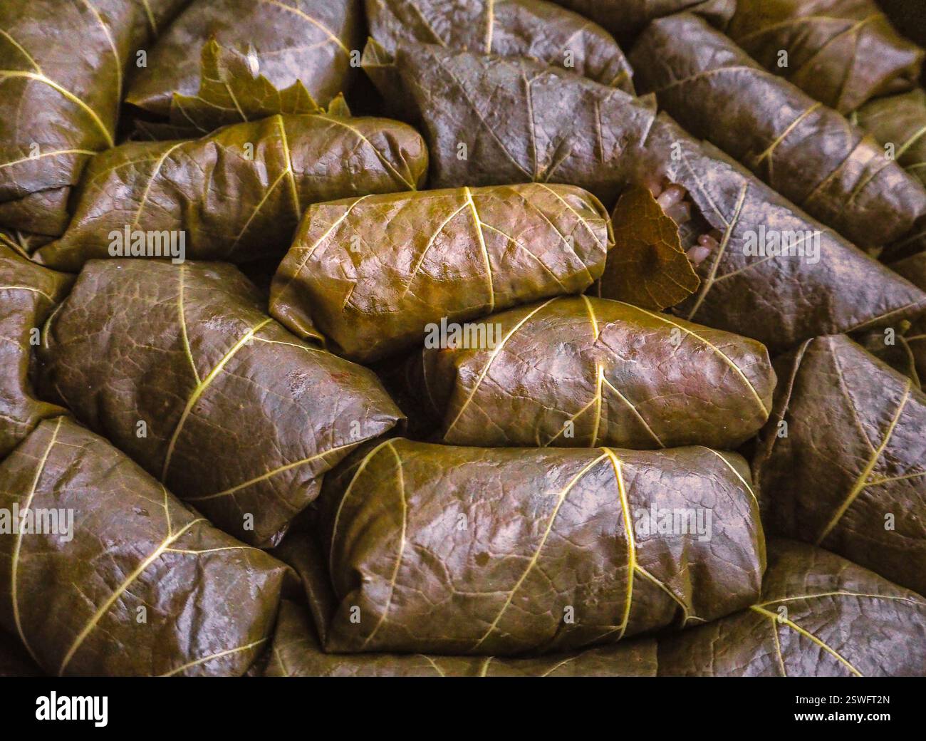 Simple wholesome food. Cooking of dolma from grape leaves Stock Photo ...