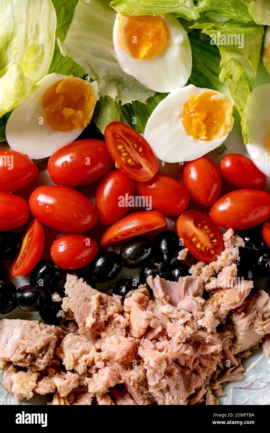 Layered traditional nicoise salad with canned tuna fish hi-res stock ...