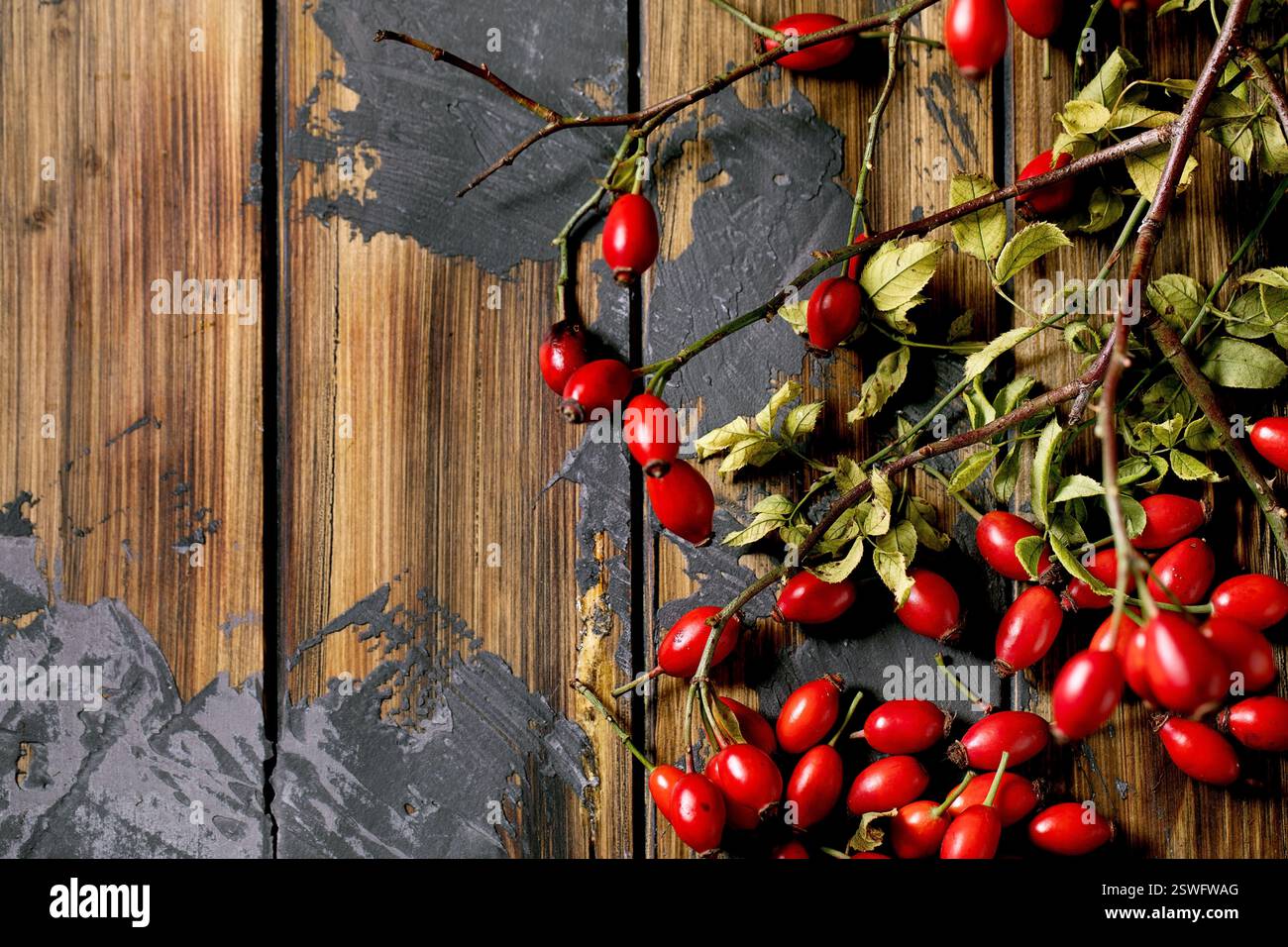 Rose hip berries with branch and leaves Stock Photo - Alamy