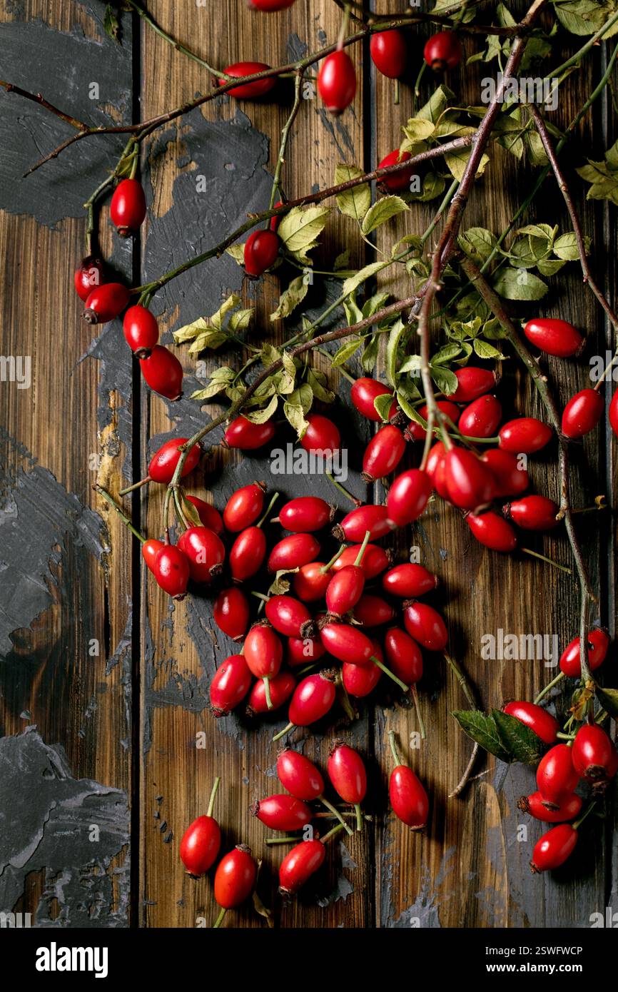 Rose hip berries with branch and leaves Stock Photo - Alamy