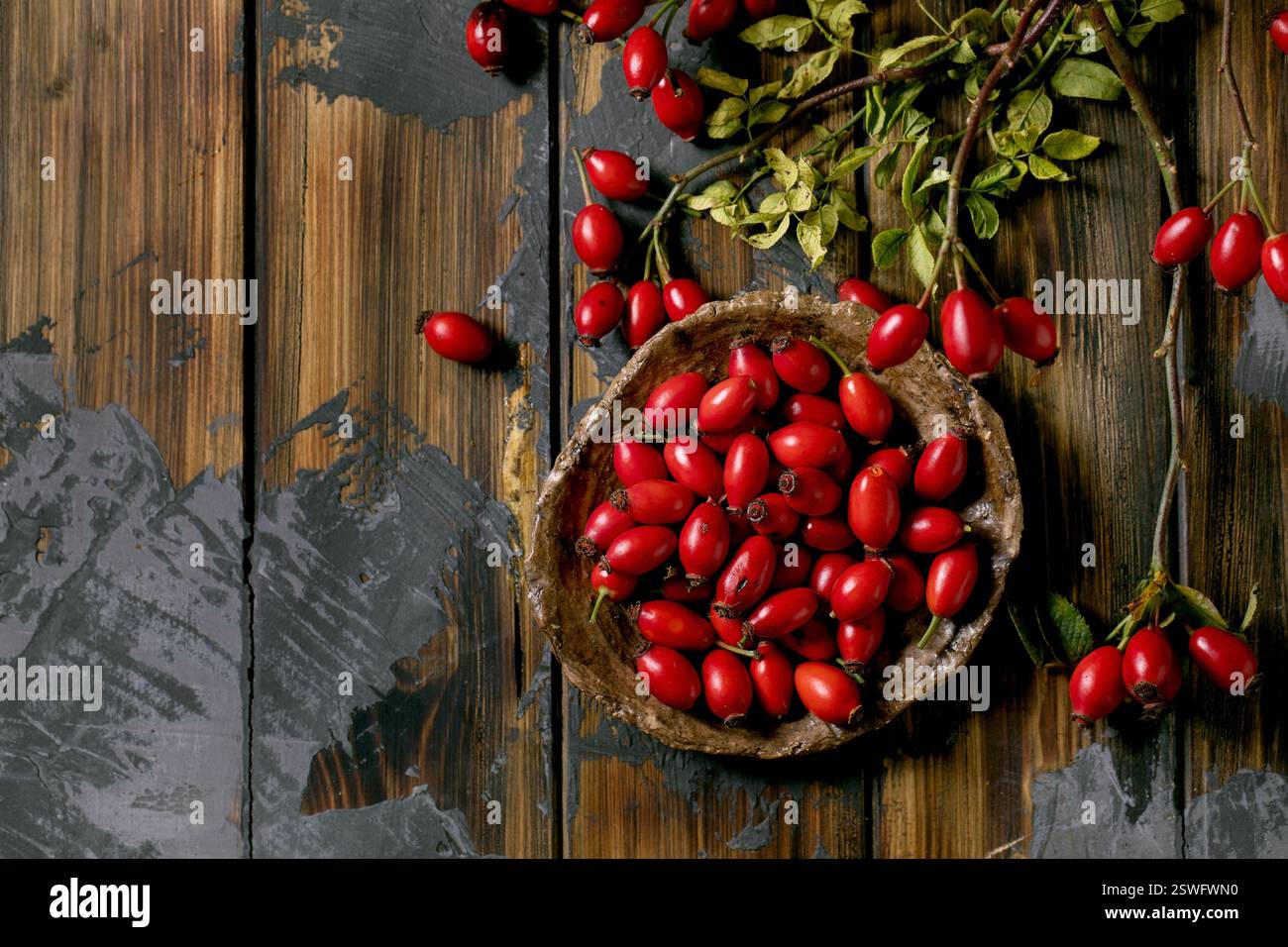 Rose hip berries with branch and leaves Stock Photo - Alamy