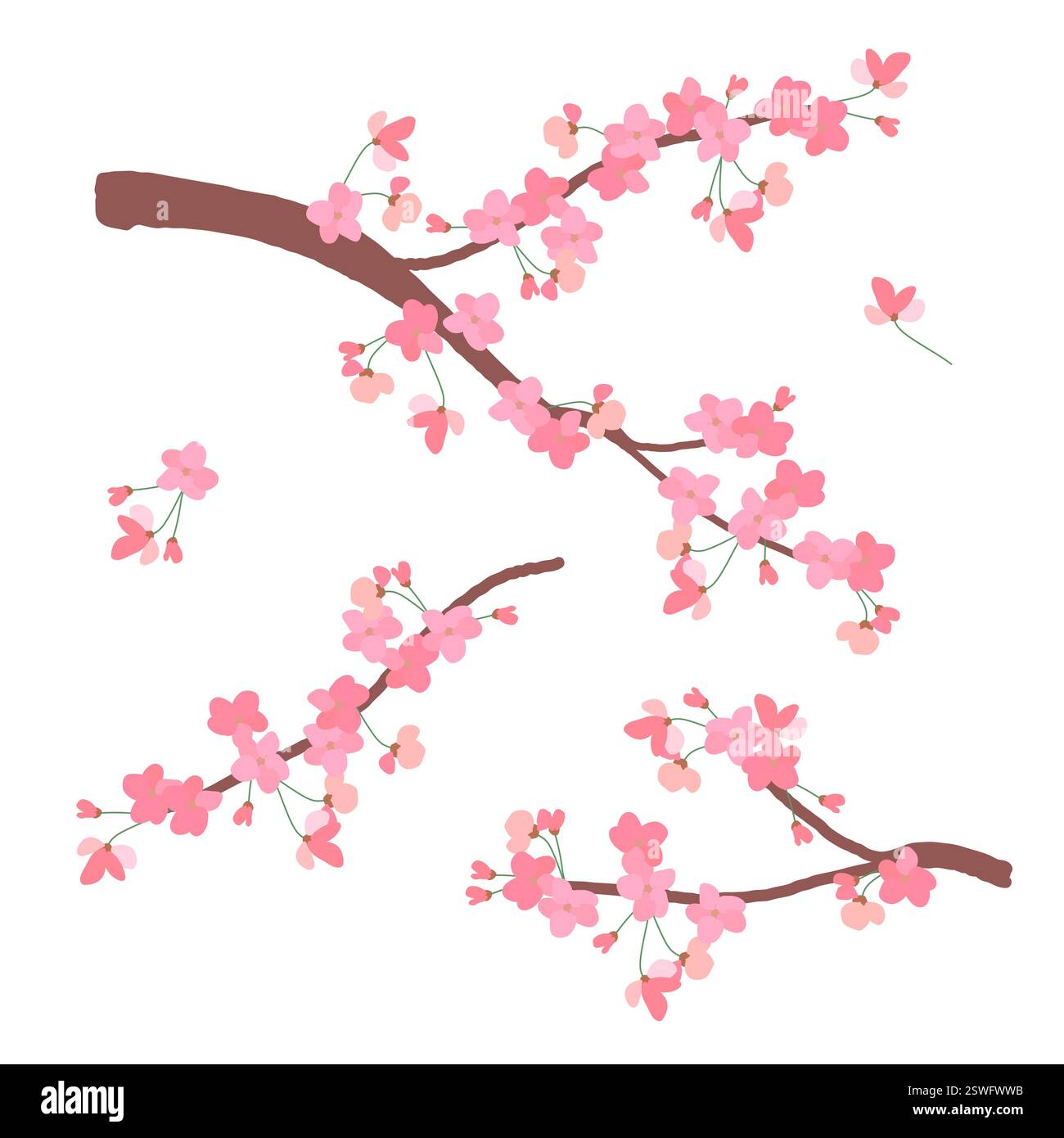 Sakura symbol of spring. Wedding background. Japanese vector ...