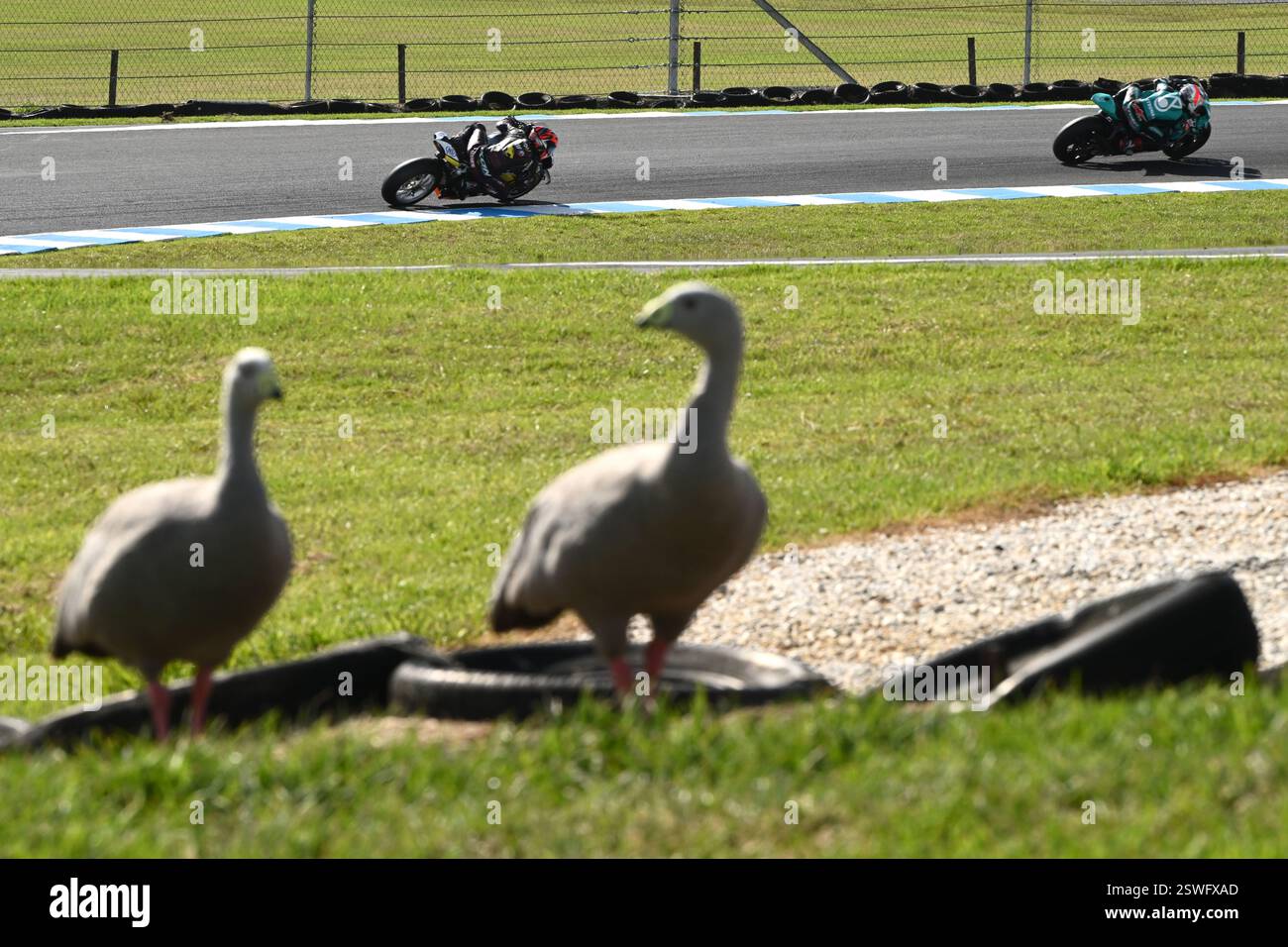 Riders pass geese during WorldSBK Free Practice 2 during the 2025 FIM ...