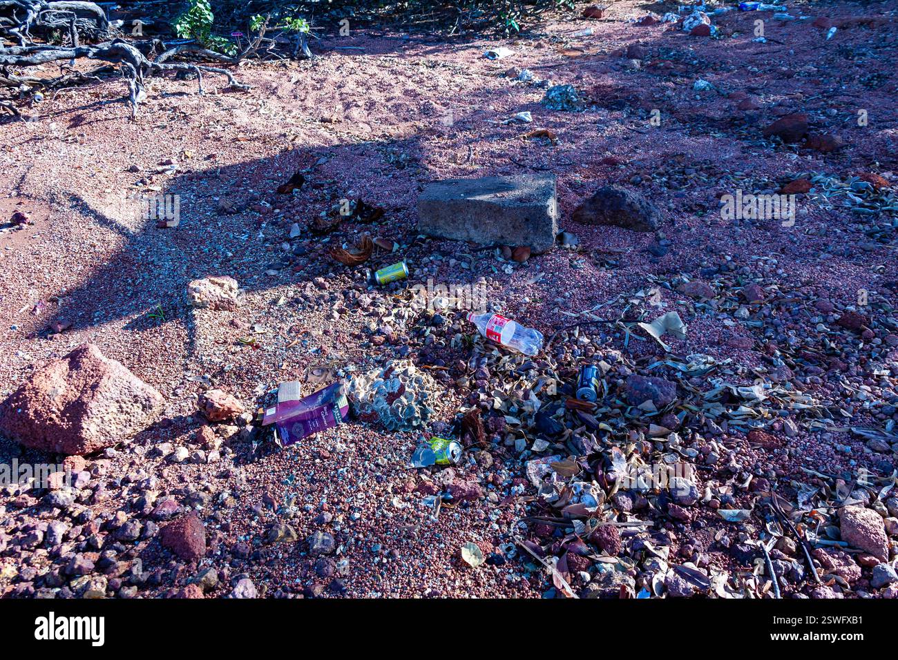 rubbished bottles cans wine box plastic containers pollution dumped ...