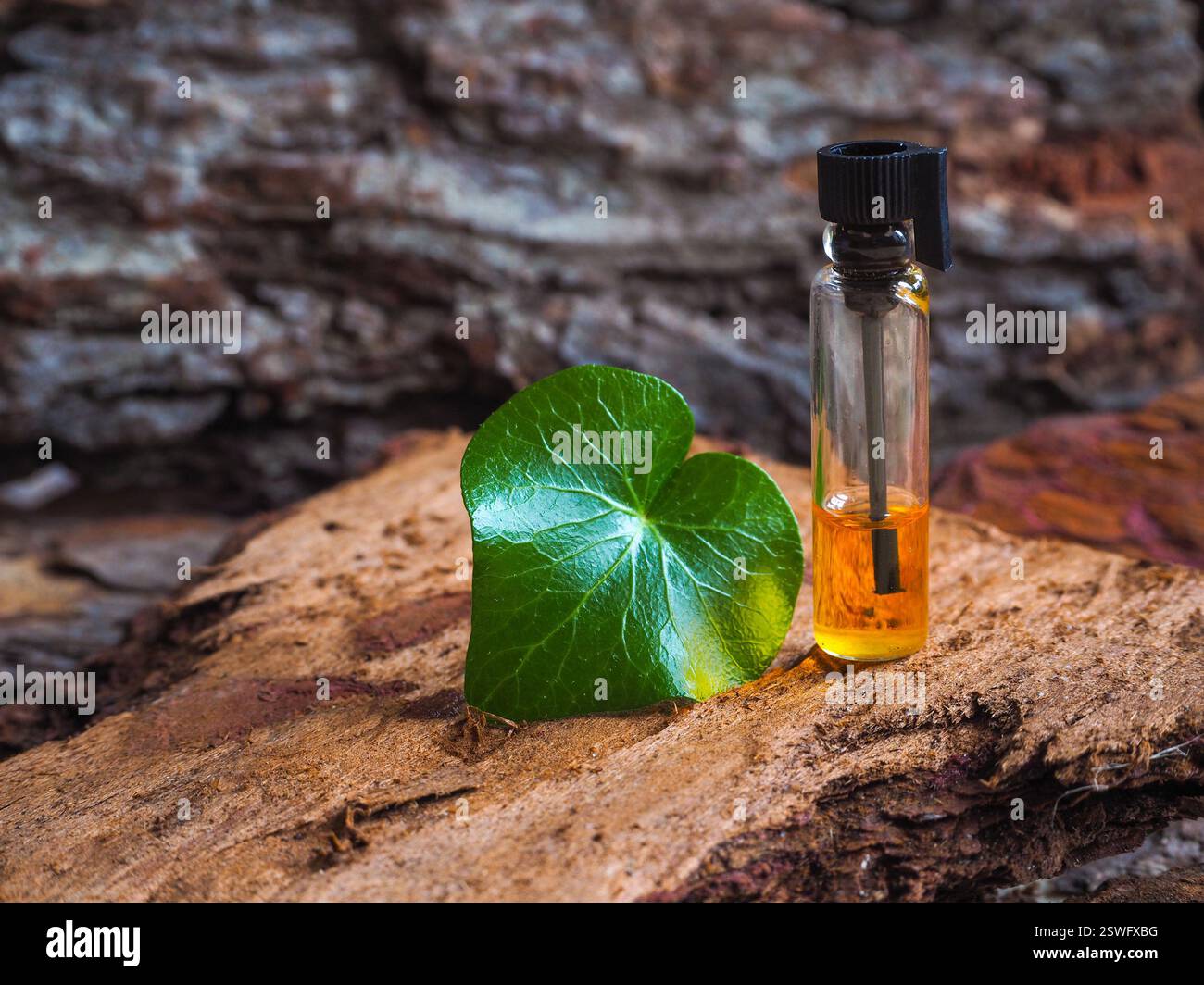 Expensive oil agarwood tree. Small bottle of Arabian Attar Stock Photo ...