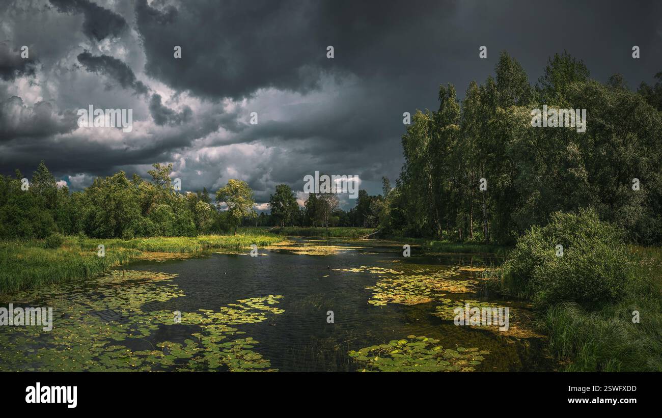 Summer thunderous landscape with a river, water flowers, forest and ...